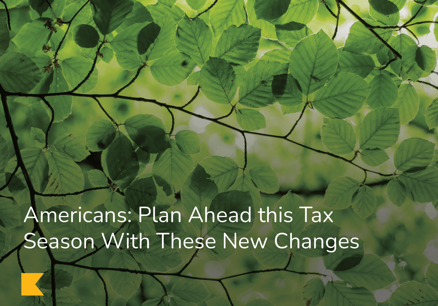 Americans: Plan Ahead this Tax Season with these New Changes